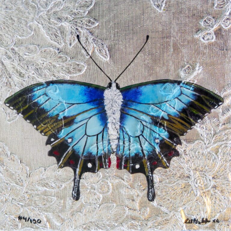 Blue Samurai Limited Edition Print on Box Frame (Sold) - Rachael Holton ...